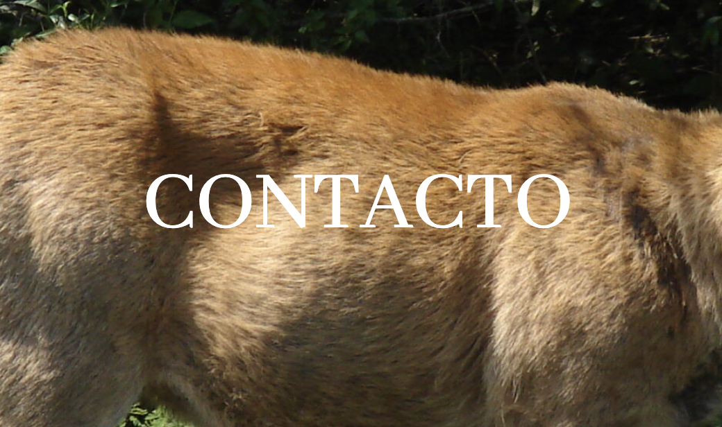 Contacto - Posada Uguay